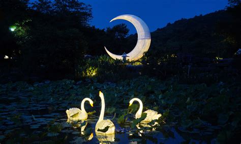 Moonlight Over The Lotus Pond Global Times