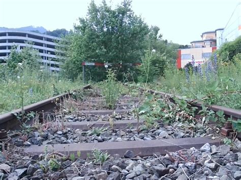 Train Tracks Object Detection Dataset And Pre Trained Model By Traintracks