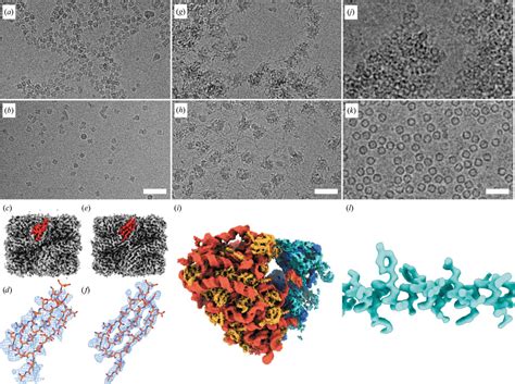 Iucr Polyelectrolyte Coating Of Cryo Em Grids Improves Lateral