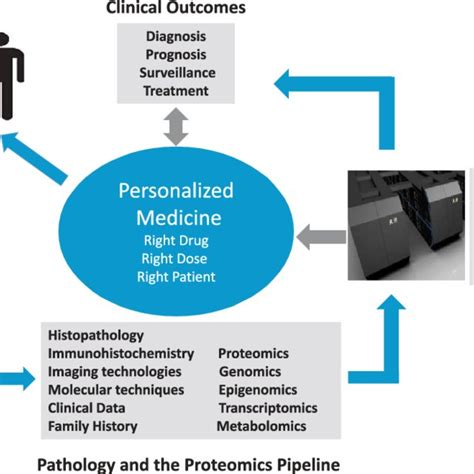 The Proteomics Pipeline And Personalized Medicine Schematic Showing Download Scientific