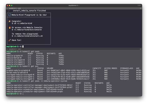 在 nebula k8s 集群中使用 spark connector 和 nebula algorithm 墨天轮