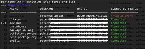 How To Delete Authorized Orgs In Vs Code Salesforce Wisepoint