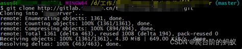 从公司搭建的gitlab代码仓拉取代码失败问题devsidecar加速服务无法从公司的内部git拉代码 Csdn博客