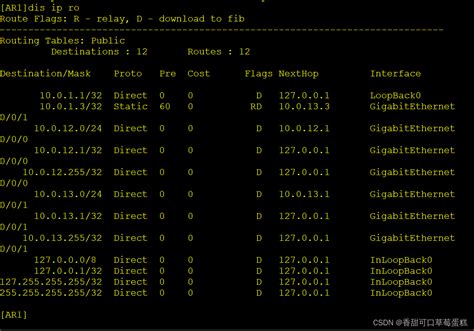 2 搭建互联互通的 Ip 网络当测试loopback接口之间联通性时若不加 A参数则icmp报文的源ip地址将会是多少 Csdn博客 2 搭建互联互通的 Ip 网络当测试loopback接口之间联通性时若不加 A参数则icmp报文的源ip地址将会是多少 Csdn博客