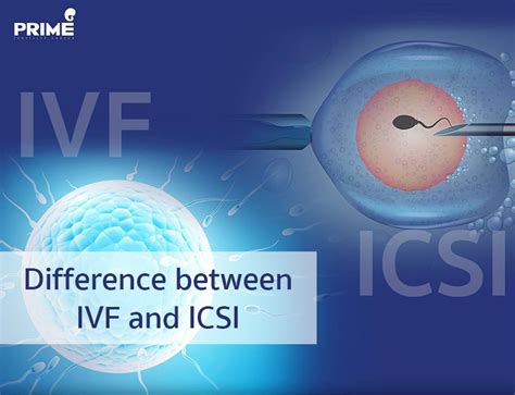 Difference Between IVF And ICSI Prime Fertility Center