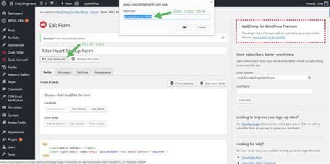 How To Setup Mailchimp For Wordpress Infamous Musician