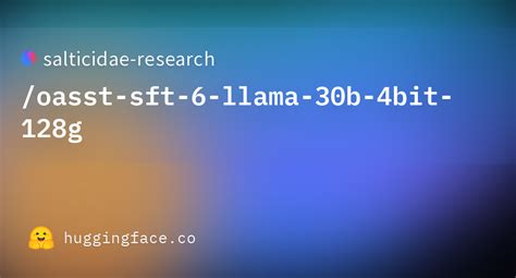 Salticidae Research Oasst Sft Llama B Bit G Hugging Face