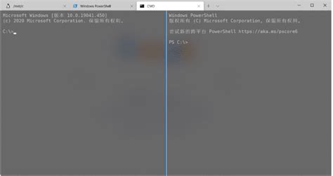 Win10 系统下的 Windows Terminal Wsl 配置指南（超详细） 0xffff