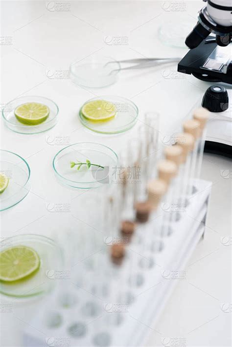 在实验室的科学工具