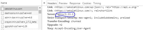 Reverse Frontend Nginx Server Header With Backend Apache Server Header