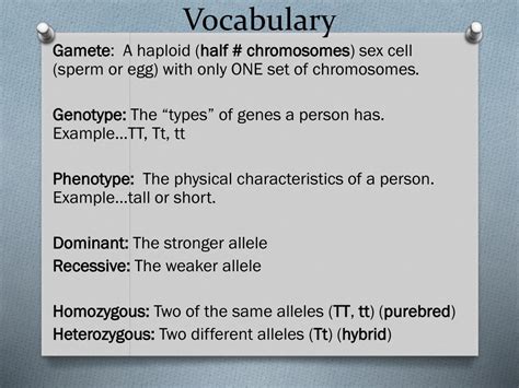 Ppt Punnett Square Notes Powerpoint Presentation Free Download Id