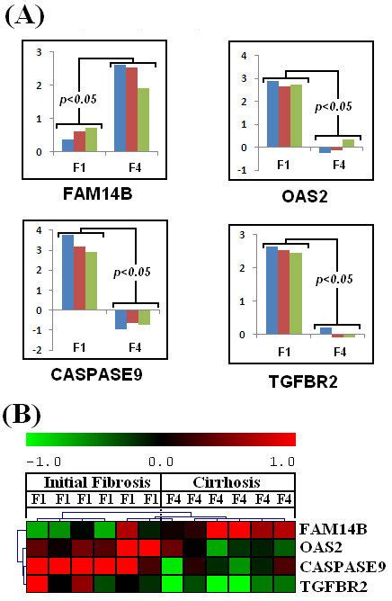 validation of microarray data by rt pcr a quantification of