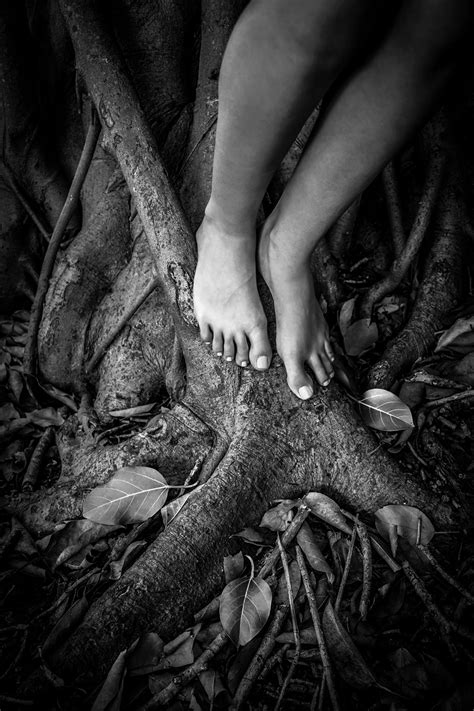 Tree Conected B W On Behance