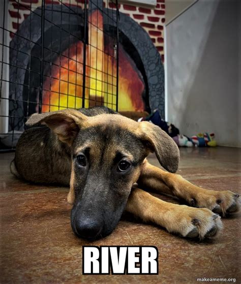 River Meme Generator