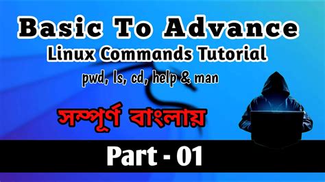 Linux Basic Commands Pwdlscdhelp And Man Linux Tutorial In Bangla
