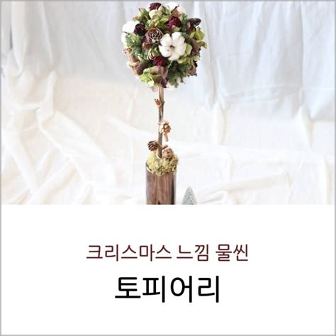 토피어리 만들기 W 강남플로리스트학원 안단테블룸플로리스트자격증 화훼장식기능사 네이버 블로그