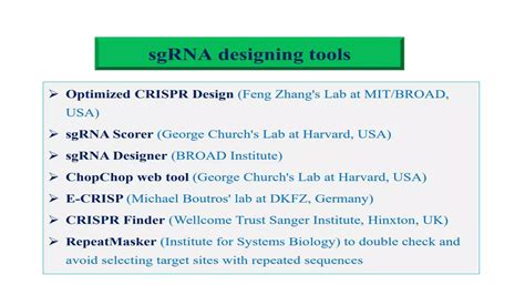 Crispr Cas9 Pptx