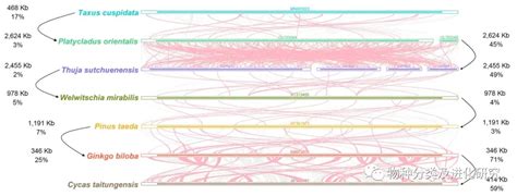 植物线粒体基因组 崖柏线粒体全基因组及其在柏科复杂线粒体基因组结构进化分析中的意义 知乎