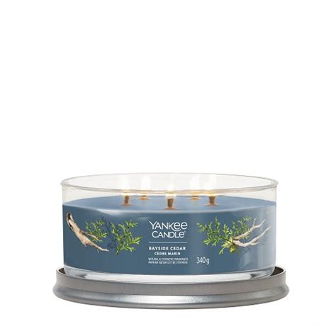 Bayside Cedar Multi Wick Whitescent Home