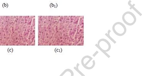 Cytotoxic Effect Of The Aqueous Extract Of Gynura Procumbens Leaves On Download Scientific
