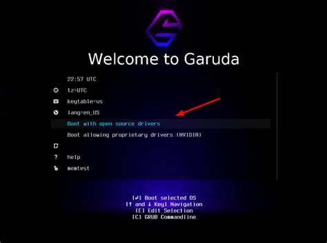 How To Install Garuda Linux Step By Step With Screenshots