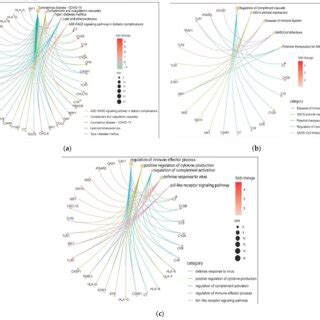 Category Cnetplot Depicts The Linkages Of Upregulated Genes And The Download Scientific Diagram