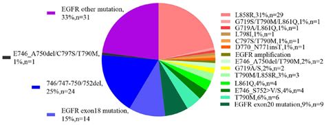 Molecular Profiling Of Egfr Mutation Distribution Within 93 Cases Of Download Scientific