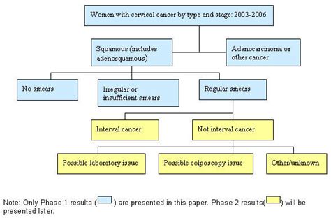 Data Analysis Summary Flowchart Download Scientific Diagram