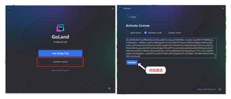 【2025最新】golang 202512 永久激活安装一条龙教程（激活码破解补丁） 吾爱破解