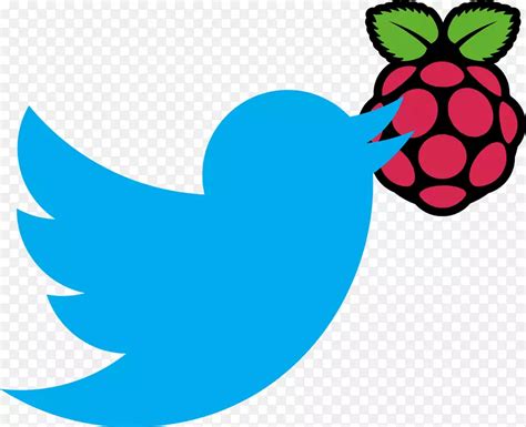 raspberry pi基金会计算机软件kodi raspberrypng图片素材下载 图片编号1041623 png素材网