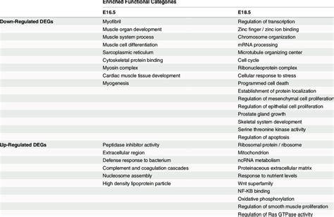 Functional Categories Enriched In Rna Seq Comparison Of E16 5 And E18 5 Download Table