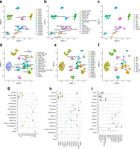 Consensus Of Mouse Drg Neuron Types Across Datasets And Nomenclatures