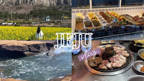 Vlog3박4일 서쪽남쪽 제주여행 2탄 Youtube