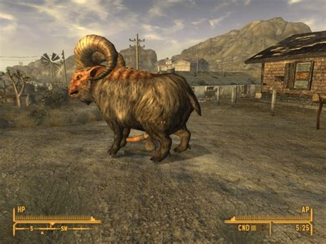 Sexout 1 Sexout Fallout New Vegas Sex Screenshots Luscious