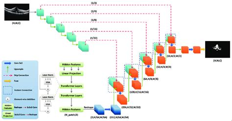 the network architecture that is suggested for the optical coherence