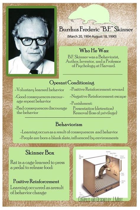 Kate Aherns Aac Prompt Hierarchy With Symbols Graphic By Shelane