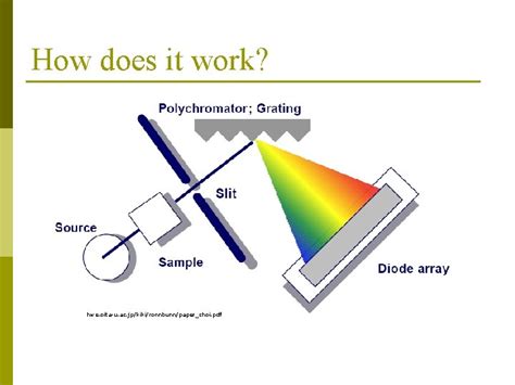 Photodiode Array What Does It Look Like