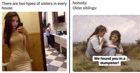 30 Sassy Sister Memes For Ladies Who Love Their Closest Kin