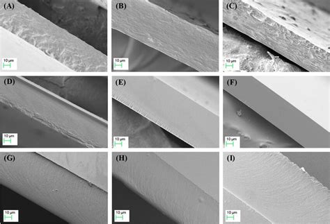 The Cross Section Of LP A LP BEA B LP BGBA C CP D CP BEA