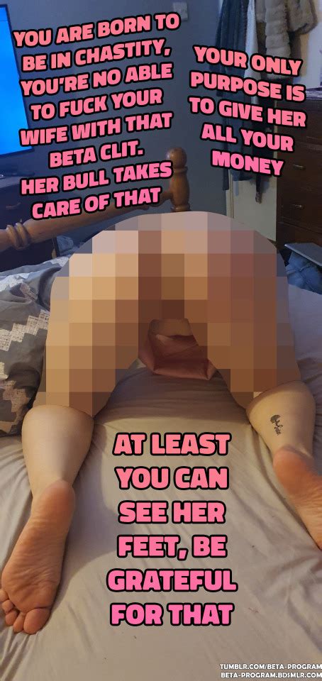 Beta Program Tumblr Tumbex
