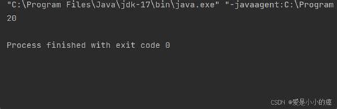 Java 运算符 馃摃 CSDN博客