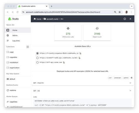 Codehooks Easy API And Database Backend
