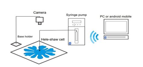 Schematic Of The Experimental Setup Used Including The Hele Shaw Cell Download Scientific Diagram