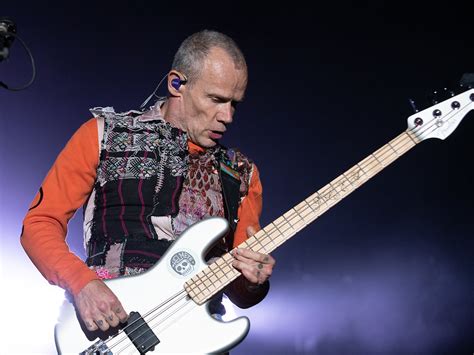 Why Bass Matters The Beginners Guide To Low End Musictech