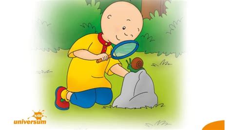 Tonies® Audioinhalte Caillou Folgen 64 75 Ein Zoo Im Garten