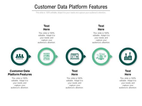 Customer Data Platform Features Ppt Powerpoint Presentation Professional Graphics Template Cpb