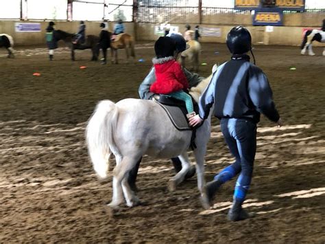 Mount Mascal Stables London 2021 All You Need To Know Before You Go