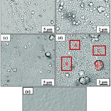Sem Images Secondary Electron Of The Surface Of A B Ep And C D Download Scientific
