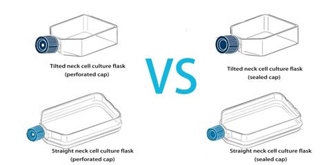 Maximal And Minimal Volume In T75 Cell Culture Flask
