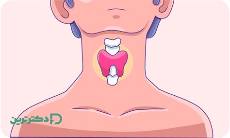 بهترین دکتر سرطان غدد لنفاوی در تهران آدرس شماره
